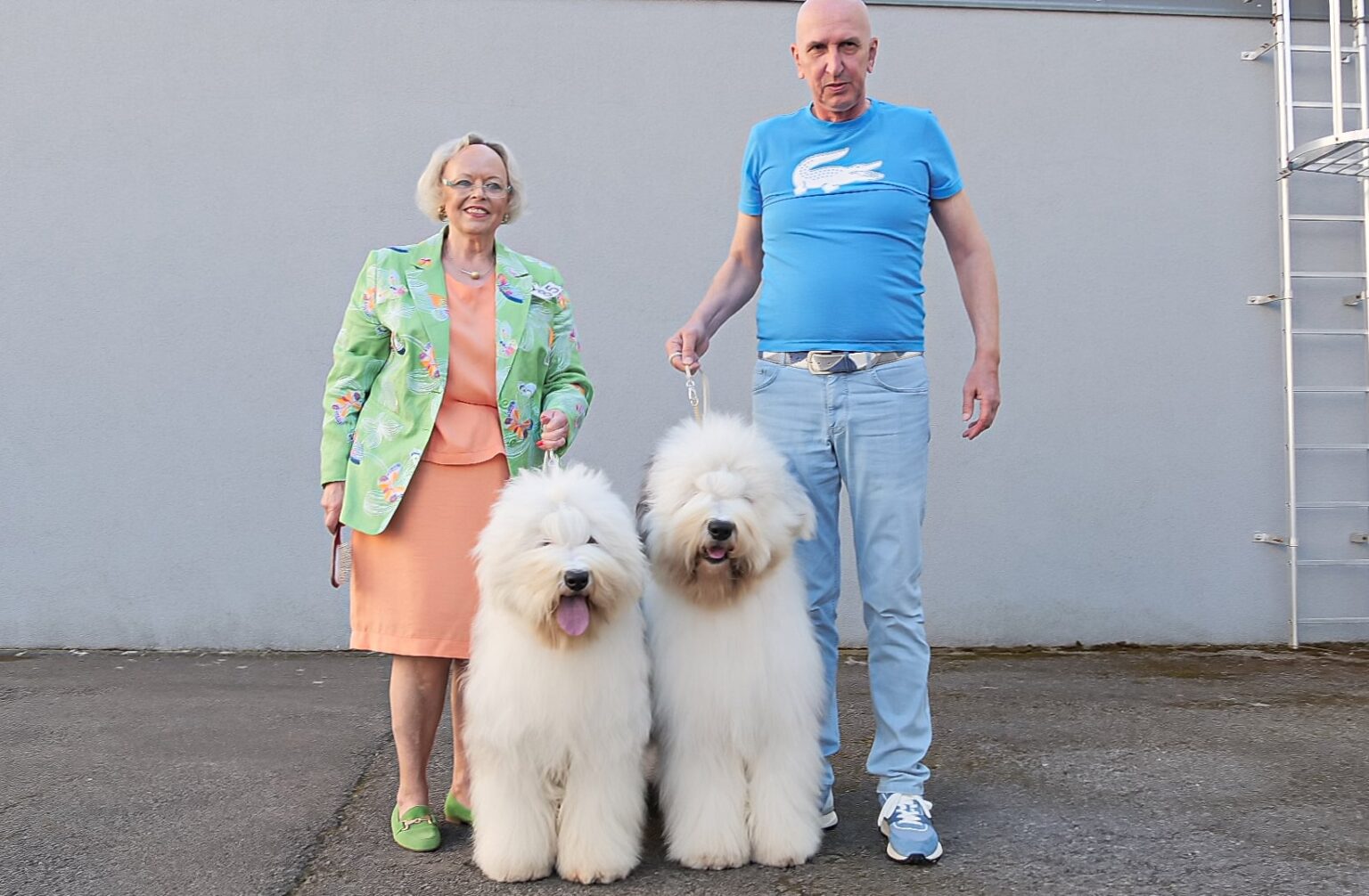 Exhibitions in April 2025 - Old English Sheepdogs aus dem Elbe-Urstromtal