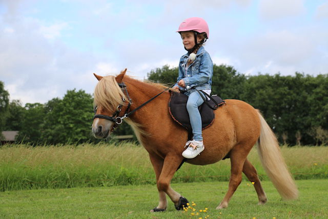 rijdekken dardo en - Wilde Äcker